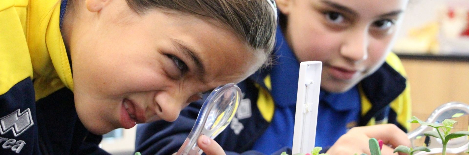 Home - Robinson School