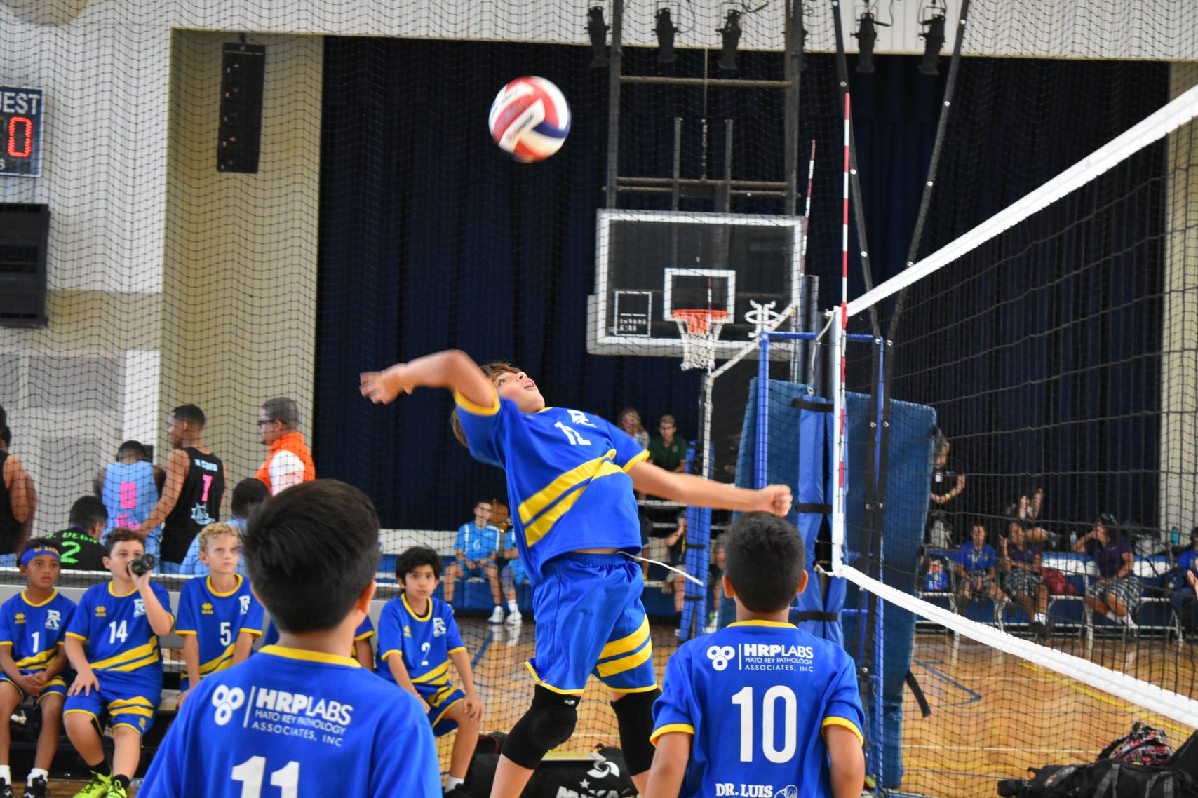 Athletics - Robinson School